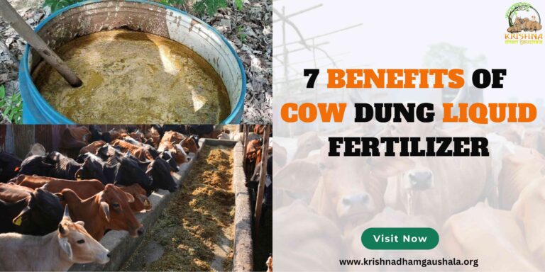 7 Benefits of Cow Dung Liquid Fertilizer