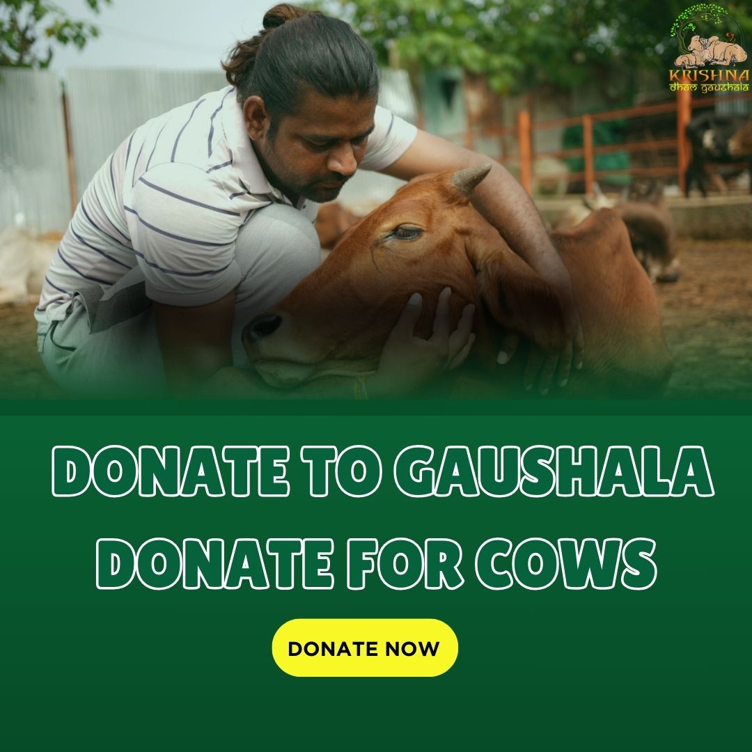 Donate To Gaushala | What We Do | Krishna Dham Gaushala